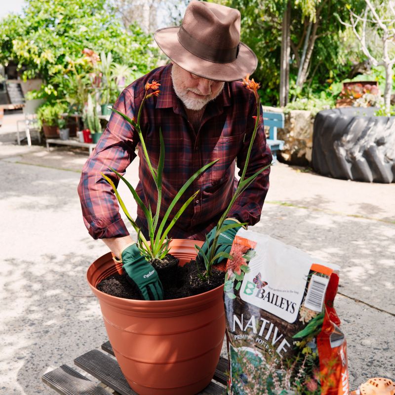Baileys Native Potting Mix - Baileys Fertilisers