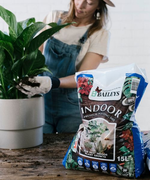 For Best Indoor Plant Growth I Baileys Indoor Premium Potting Mix ...