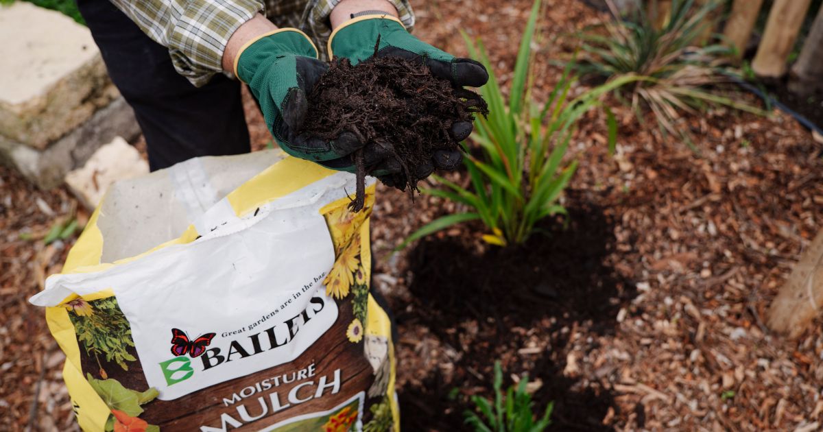 The Need To Mulch | Gardening Blog | Baileys Fertilisers - Baileys ...
