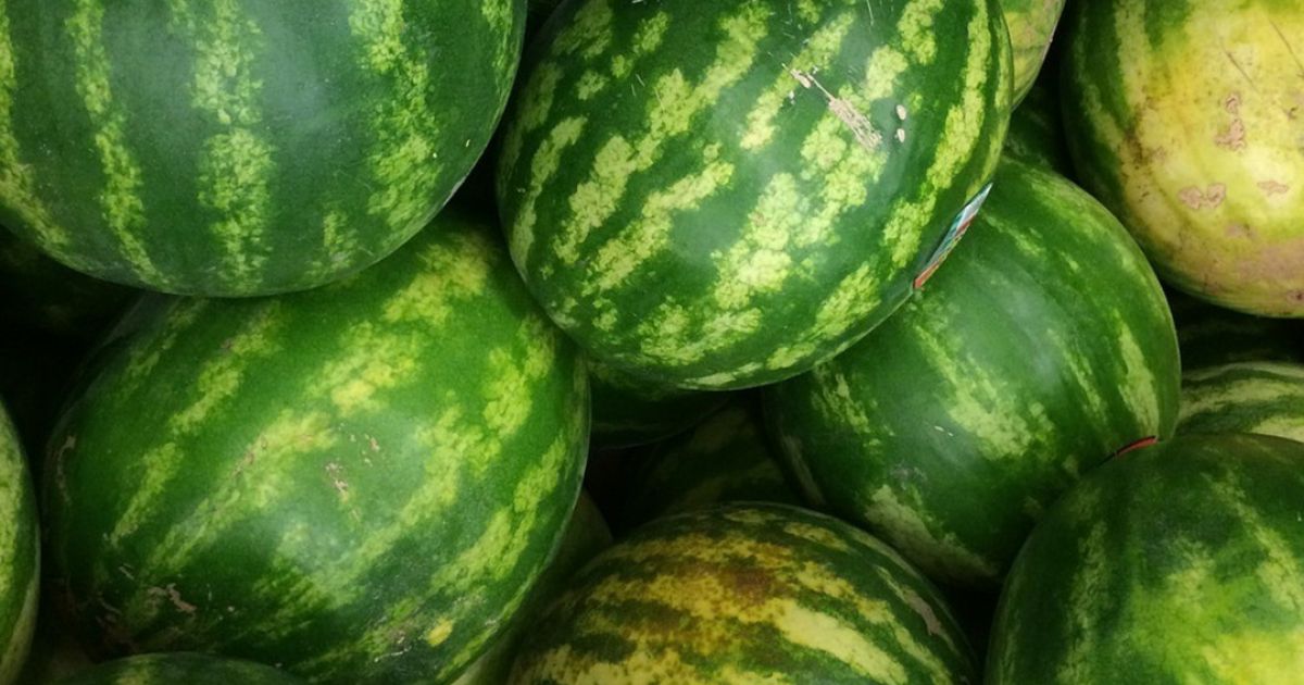 When summer hits there’s nothing better than a super-juicy watermelon ...