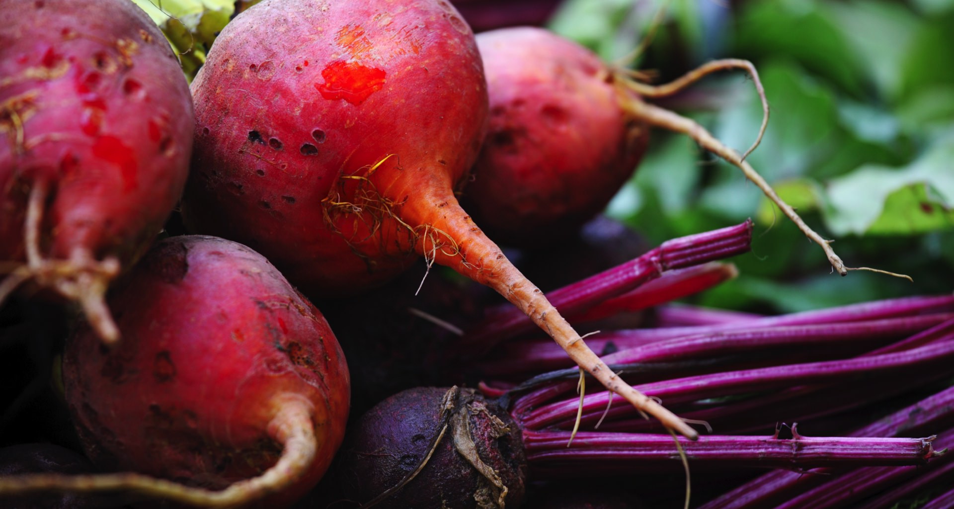 Eat Colourful Fruit & Vegetables | Blog | Baileys Fertilisers - Baileys ...